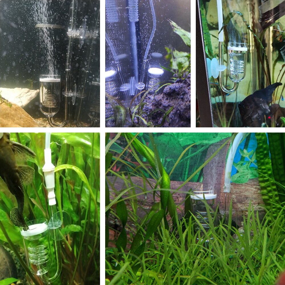 Aquarium CO2 Diffuser Glass Tank Bubble Reactor Mo... – Grandado
