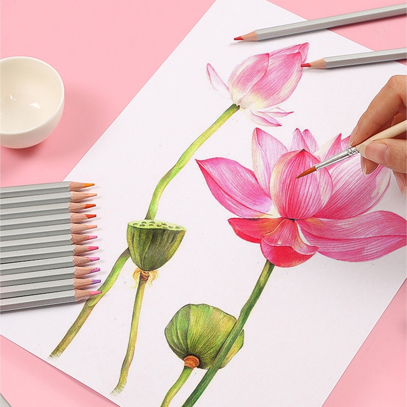 24/36/48/72 Colors Water-Soluble Color Pencil Colo... – Grandado