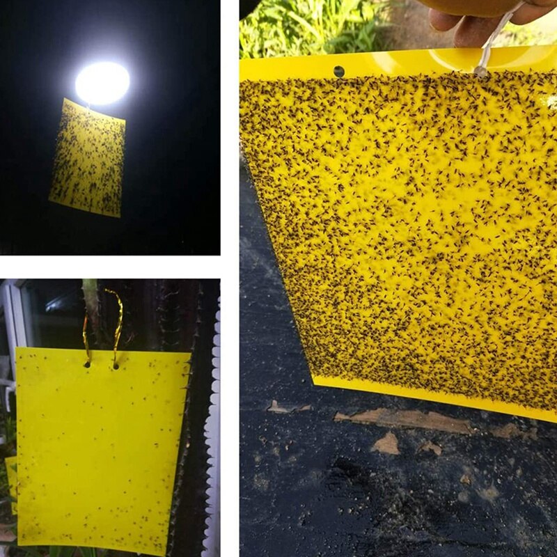 20 Stuks Geel Sticky Fly Vallen 25X15cm Dubbelzijd... – Vicedeal