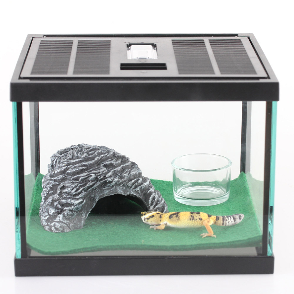 Reptile Kit Spider Box Frog House Tarantula Contai... – Grandado