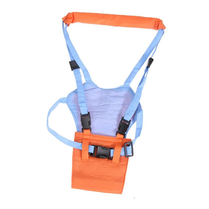 Baby Walker Infant Toddler Walking Belt Strap Harn... – Grandado