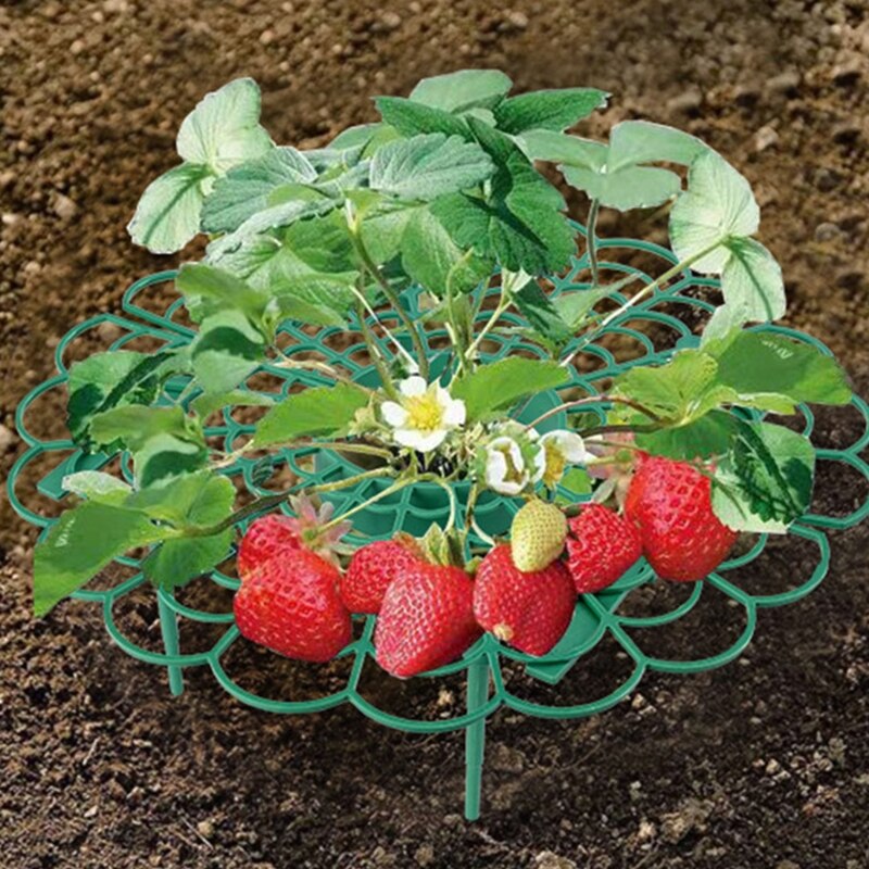 Strawberry Stand Frame Garden Fruit Plant Cage Cra... – Grandado