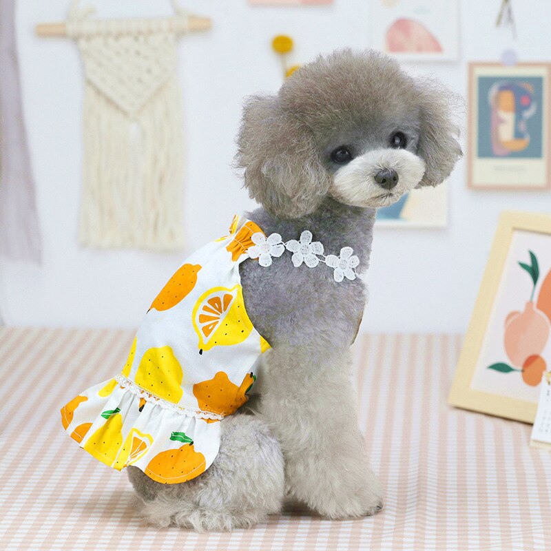 Pet Kleding Voor Kleine Honden Stijl Hond Kleding ... – Vicedeal