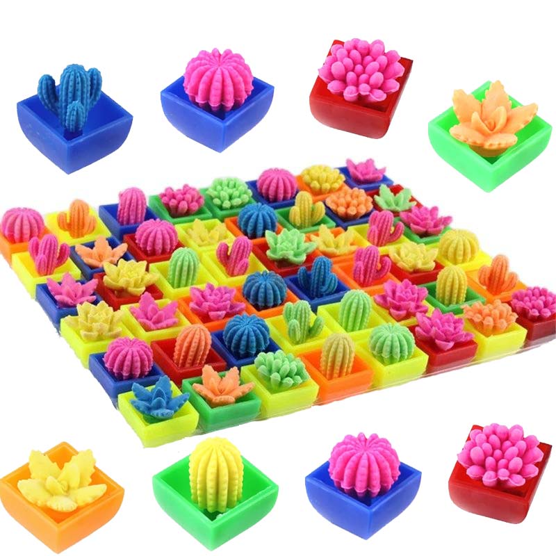 6/48 PCS Magic Plant Flower Cactus Toy Can Grow An... – Vicedeal
