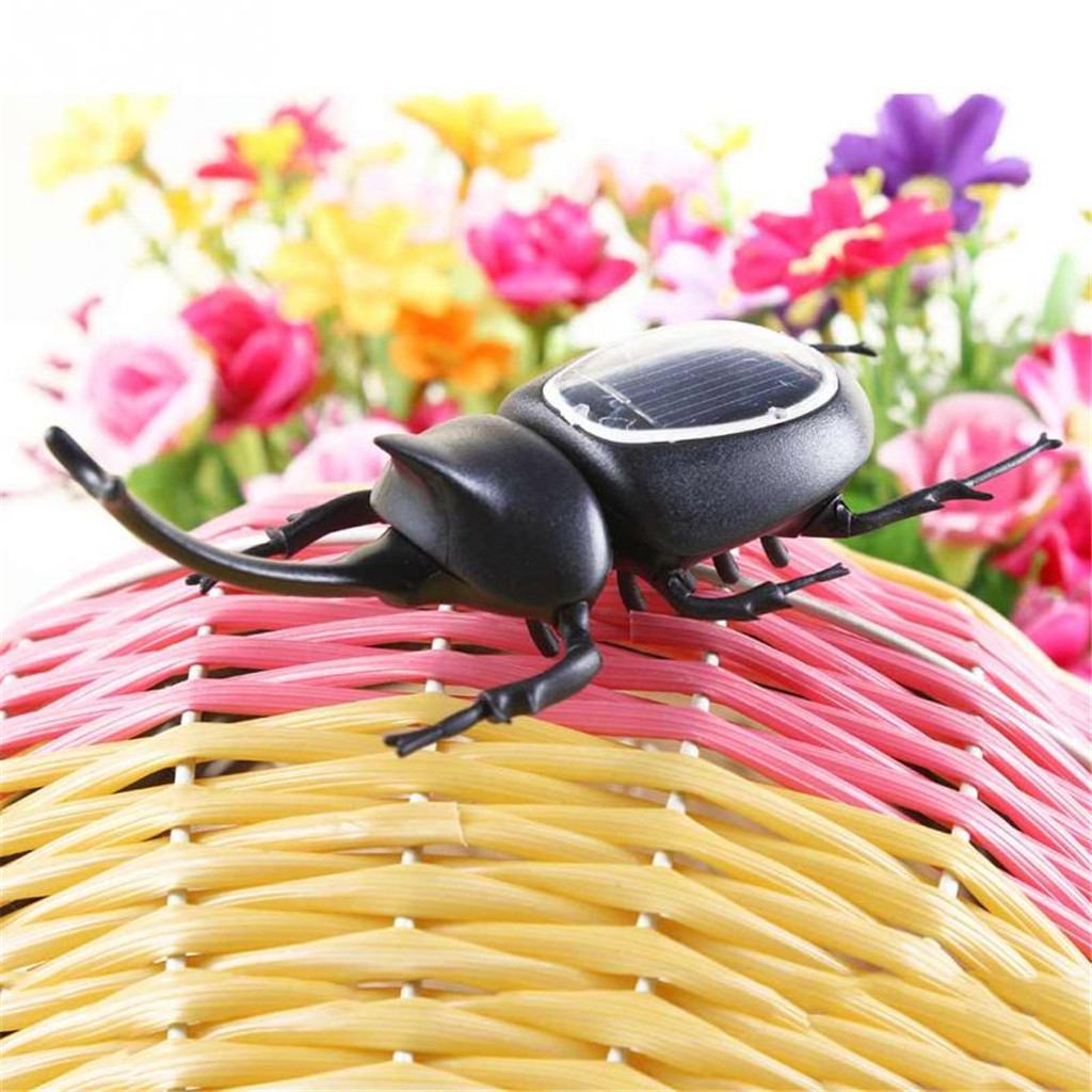 Novelty Solar Powered Walking Beetle Funny Insect ... – Grandado