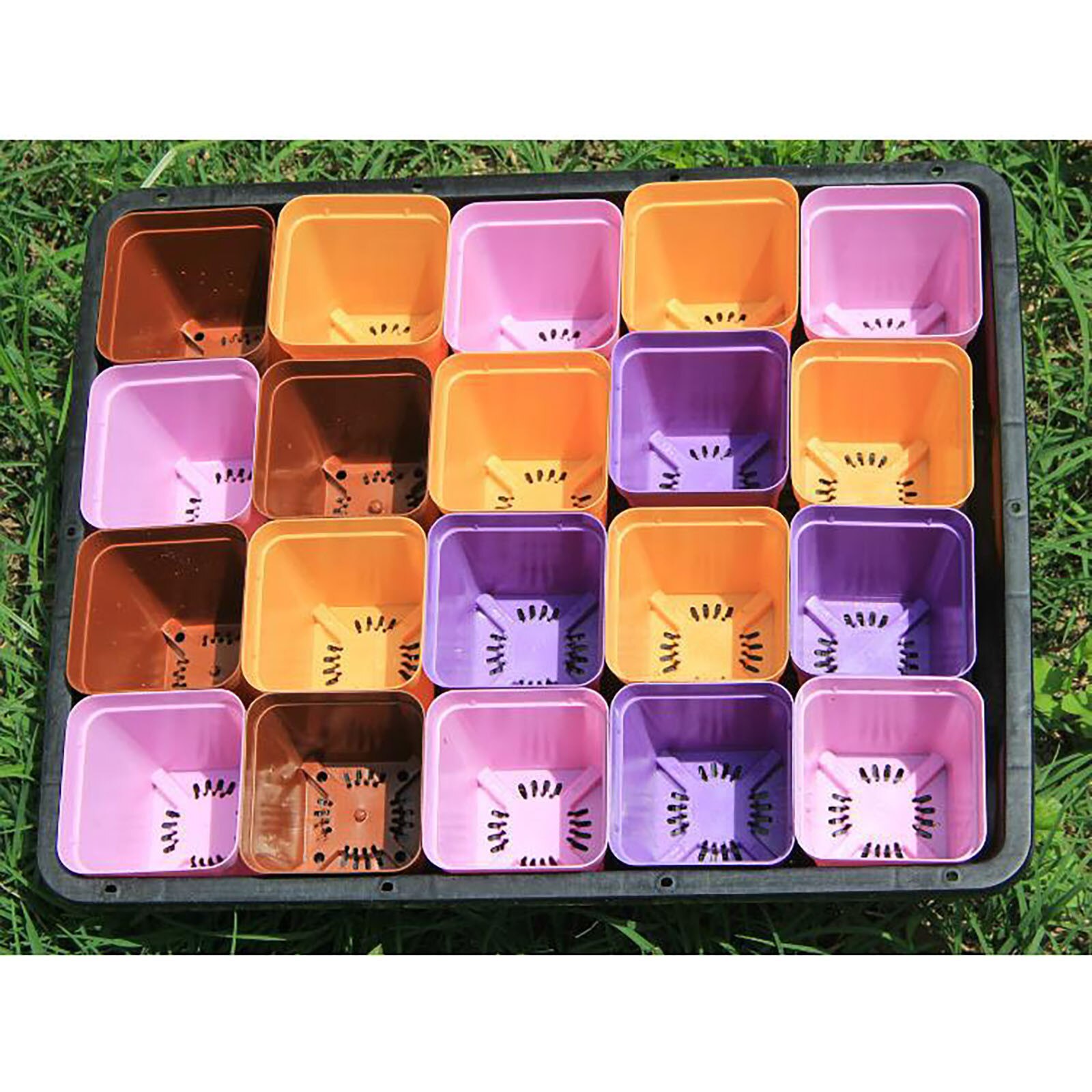 20 Cells Gardening Colorful Nursery Pots Mini Brea... – Grandado
