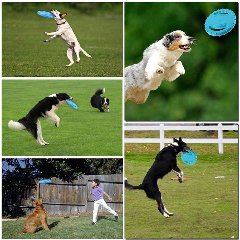 TPR 20CM Large Dog Indestructible Dog Flying Disc ... – Grandado