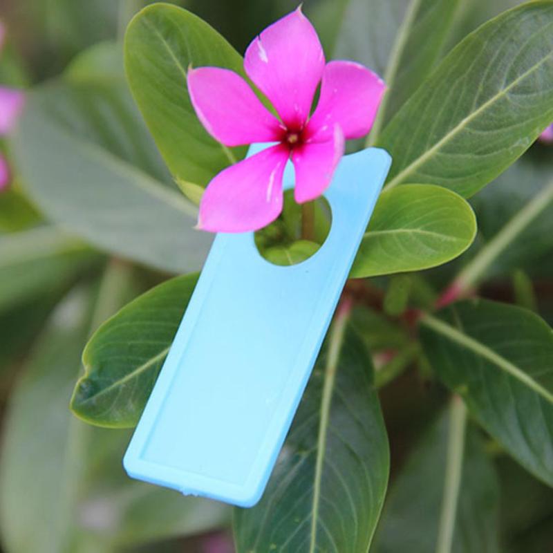 100pcs Grape Plastic Labels Melon Fruit Tags Plant... – Grandado