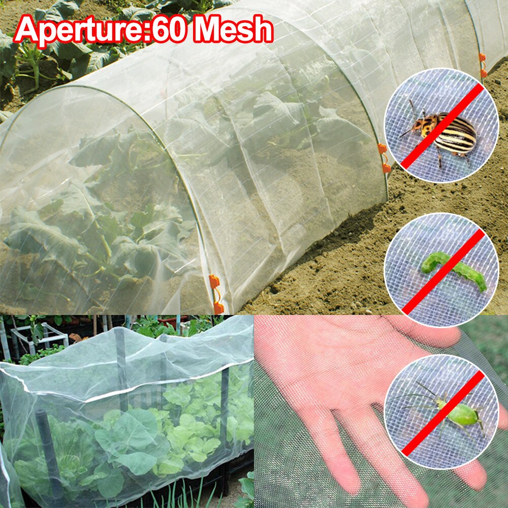 60 Mesh Garden Vegetable Insect Net 4-10M Long Pla... – Vicedeal