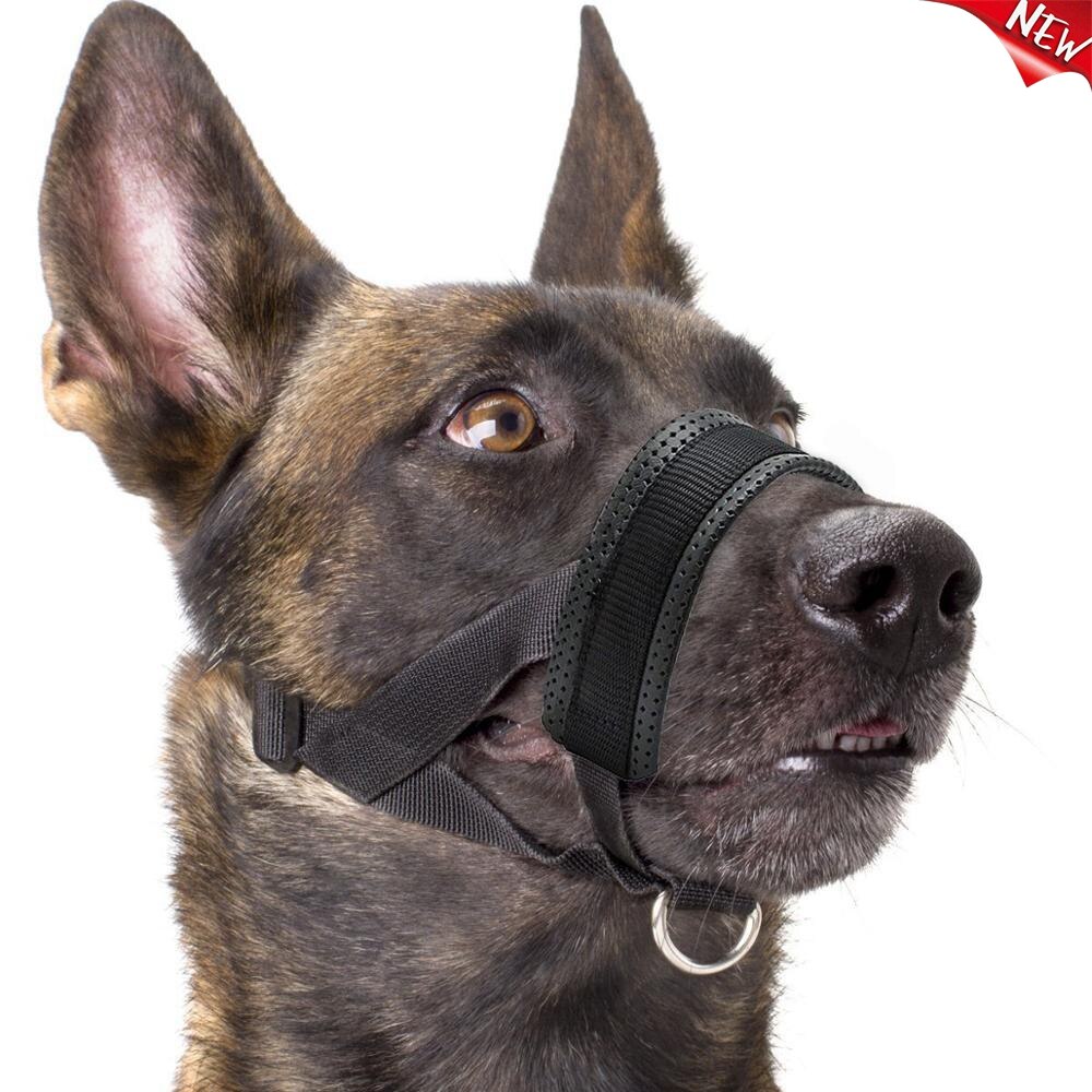 Verstelbare Nylon Hond Snuit Met Zachte Padding Bl... – Vicedeal