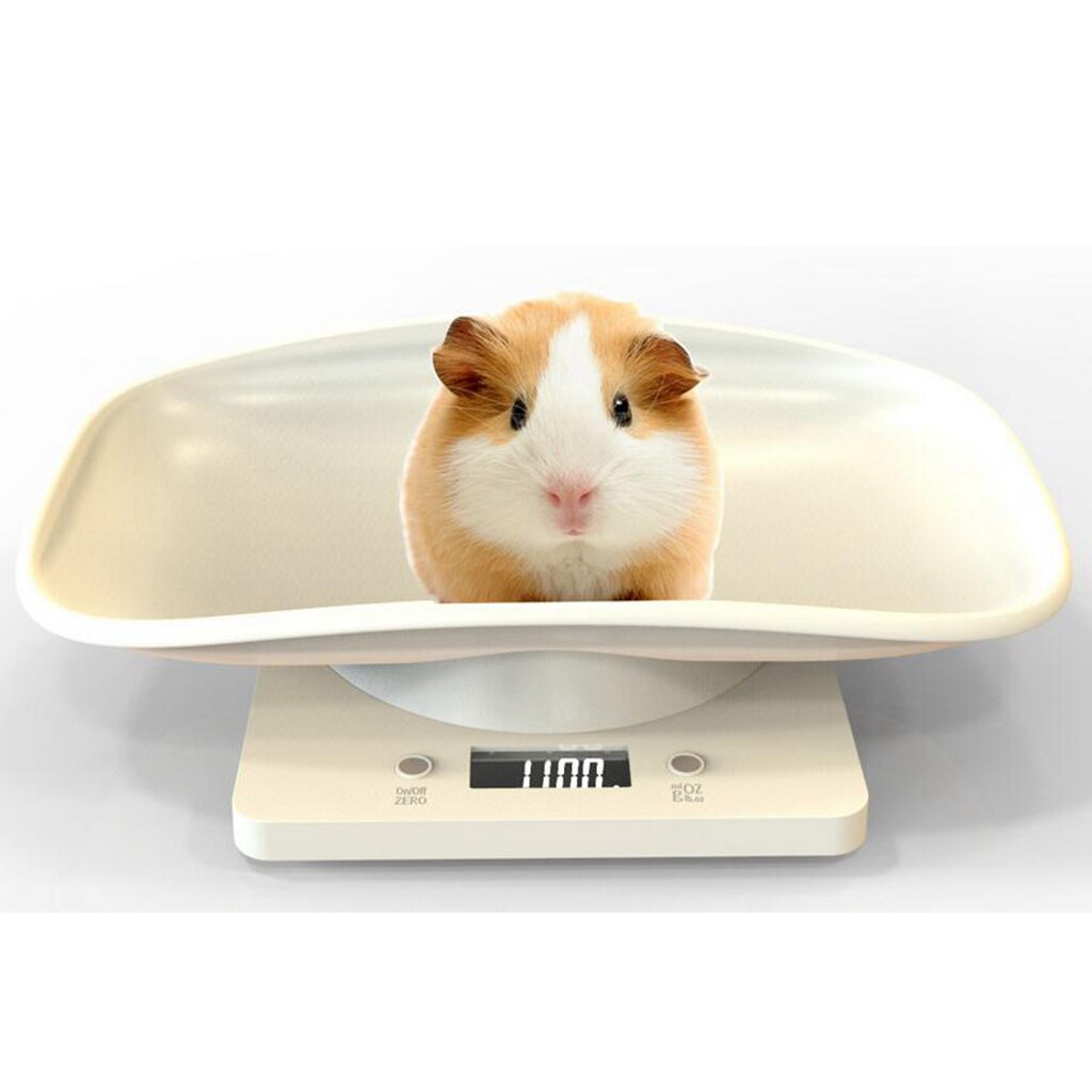 Digital Small Dog Cat Scale Multi-Function Digital... – Grandado