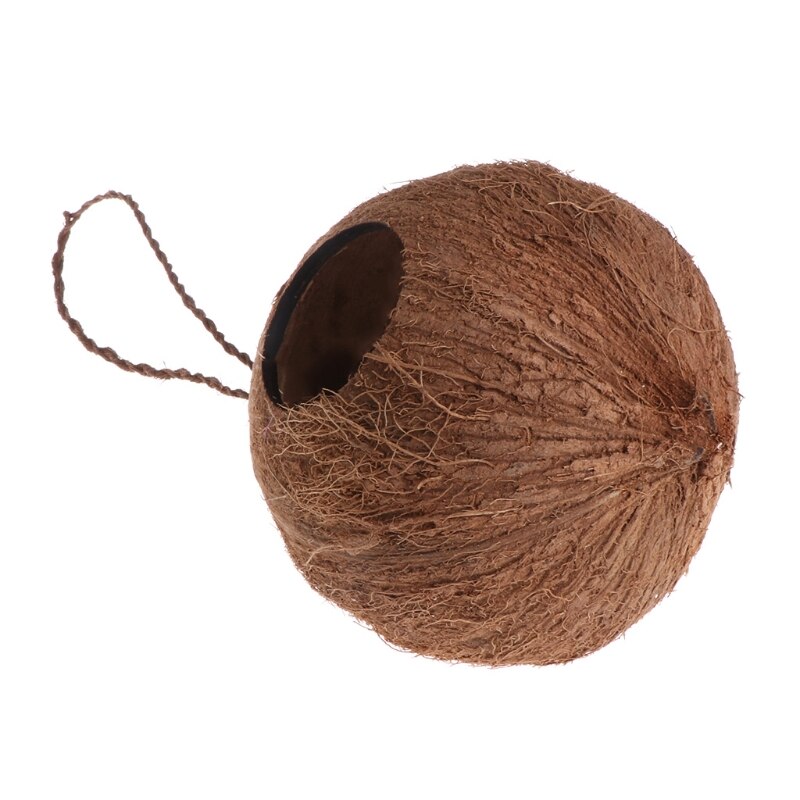 Coconut Shell Bird Nest Dispenser Food Feeding Hid... – Grandado