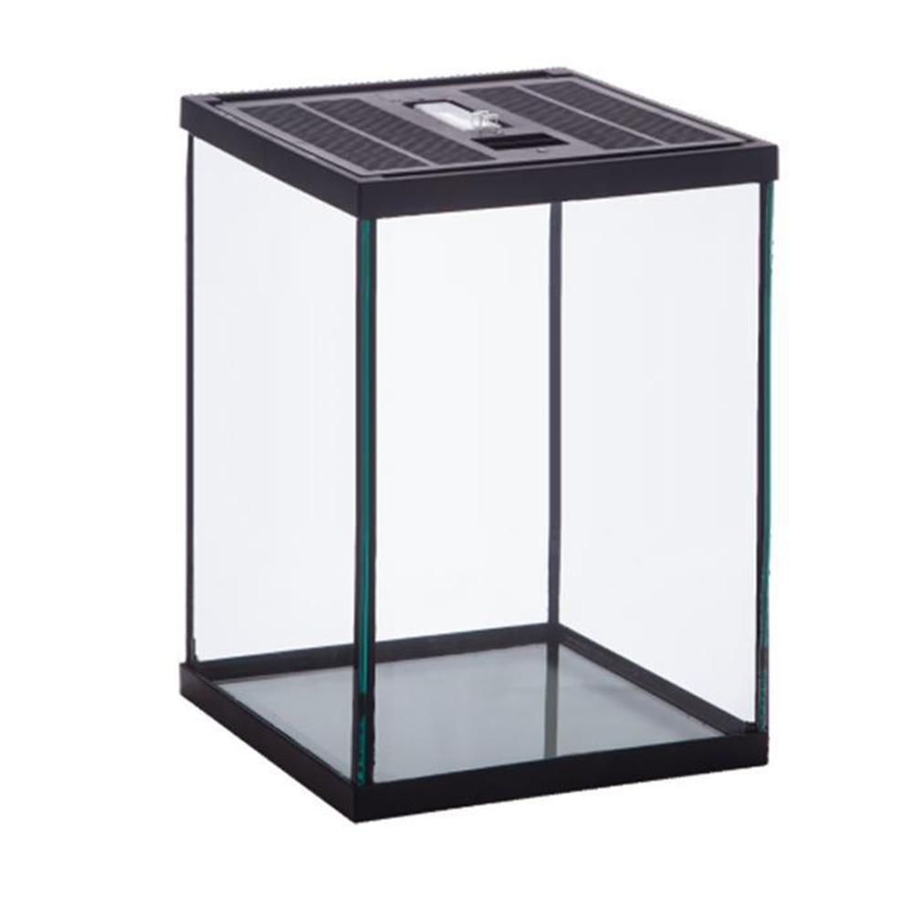 Reptile Glass Terrarium Natural Comfortable Crawli... – Grandado