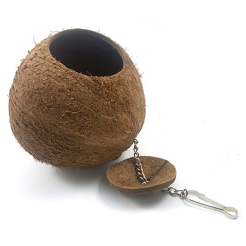 Crested Gecko Coco Hut Shell Bird House Sturdy Han... – Vicedeal