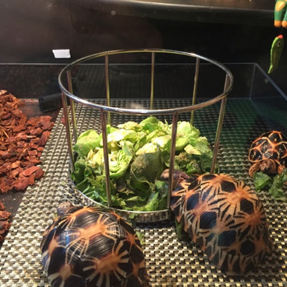 Stainless Steel Dispenser Tortoise Feeding Bowl Ho... – Grandado