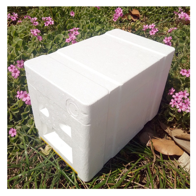 Bee Mating Breeding Box Beekeeper Apiary Queen bee... – Grandado