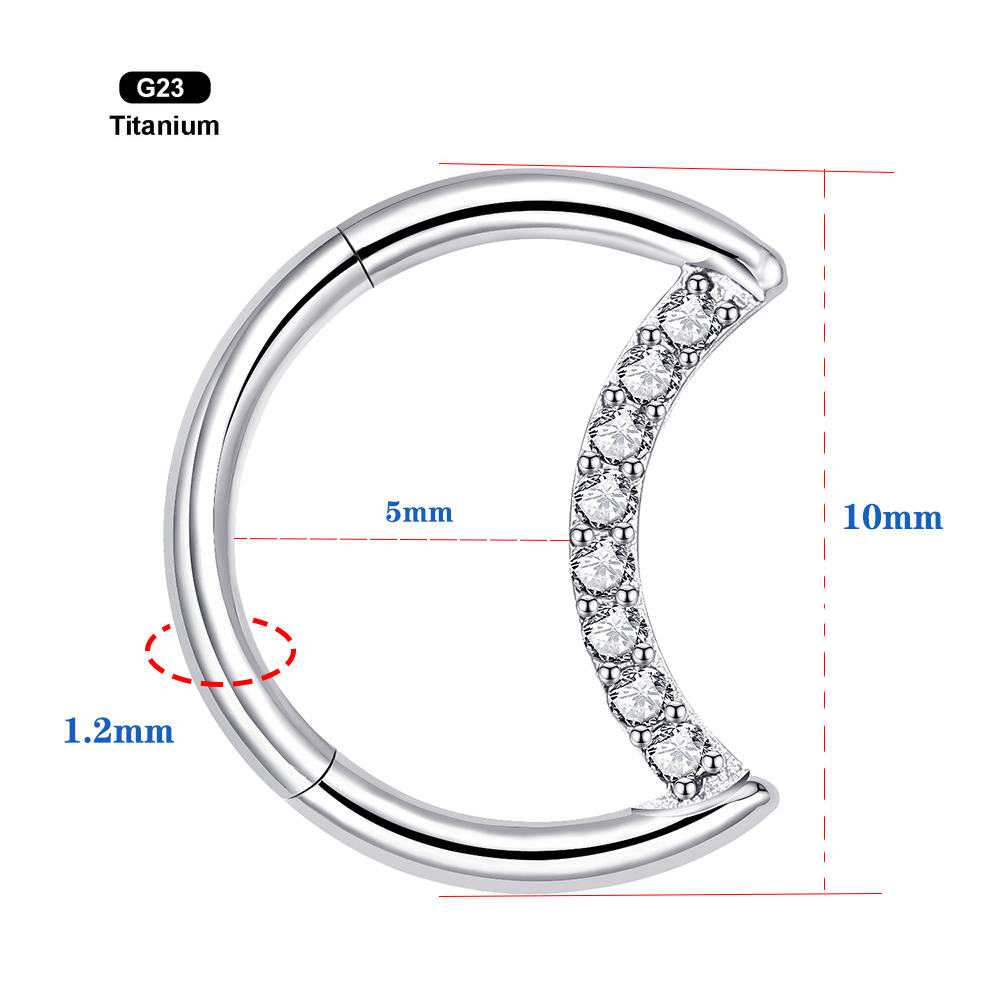 G23 Titanium Nose Rings Moon Daith Rook Piercing E... – Grandado