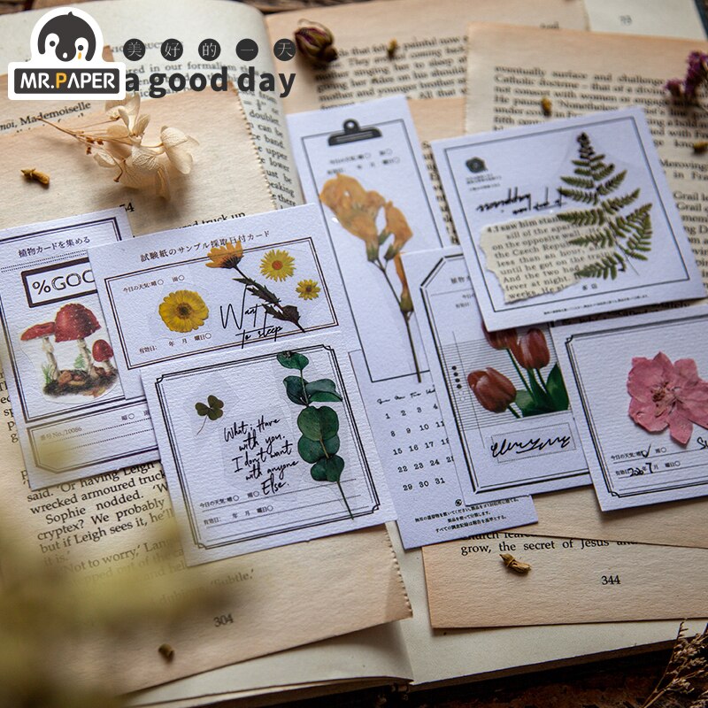 Mr.paper 8 Designs 24pcs Ancient Plant Letters Scr... – Grandado