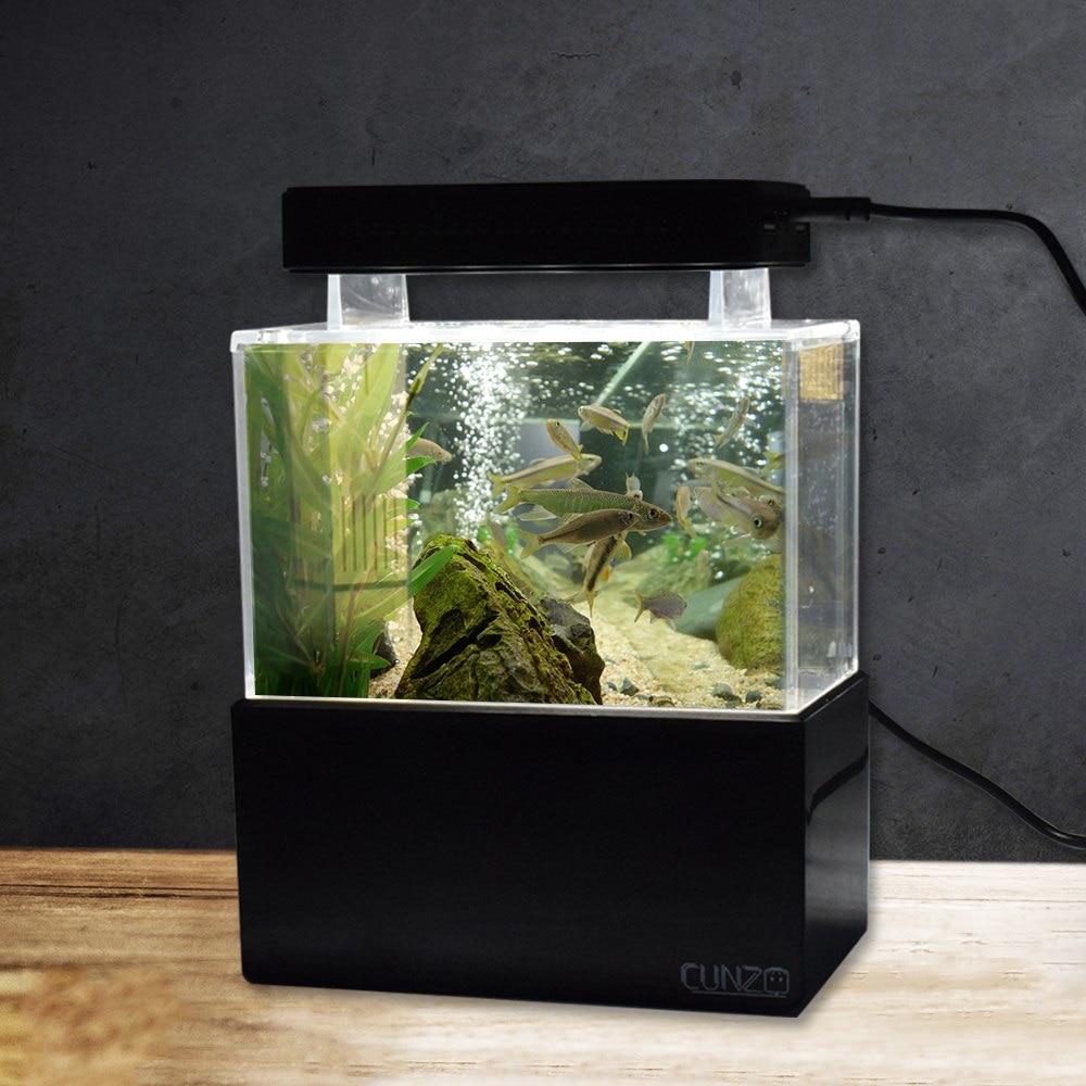 LED Lihgt Aquarium Mini Fish Tank with Blue Deskto... – Grandado