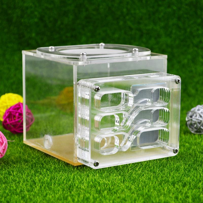 11.7*8.6*9.5cm ant farm acryl, ant nests villa pet... – Grandado