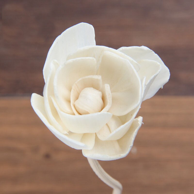 Lychee Life Solid Color Artificial Flower Reed Dif... – Grandado