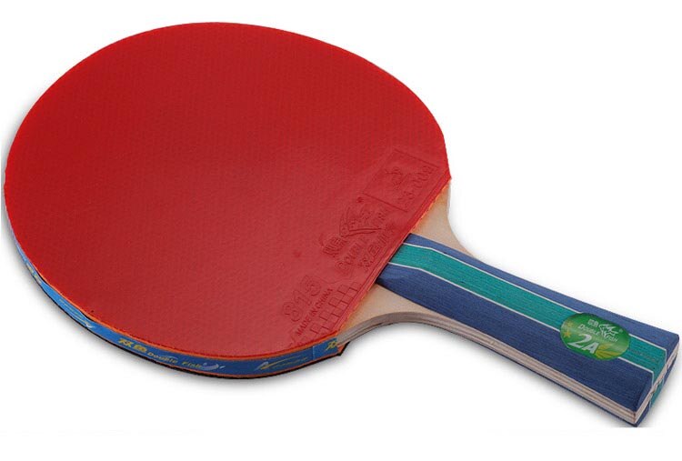 Double fish 2 star Pingpong Paddles Table Tennis R... – Grandado