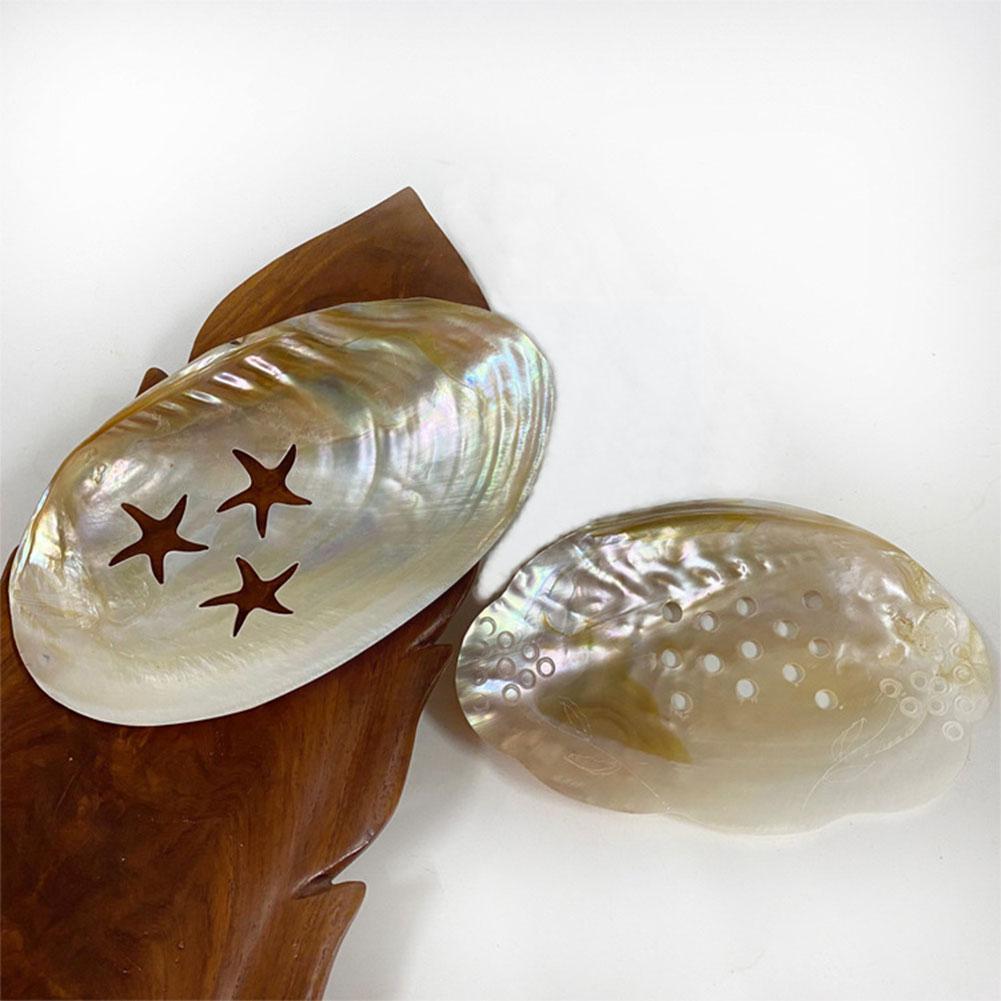 Natural Freshwater Pearl Shell Oyster Mother of Pe... – Vicedeal