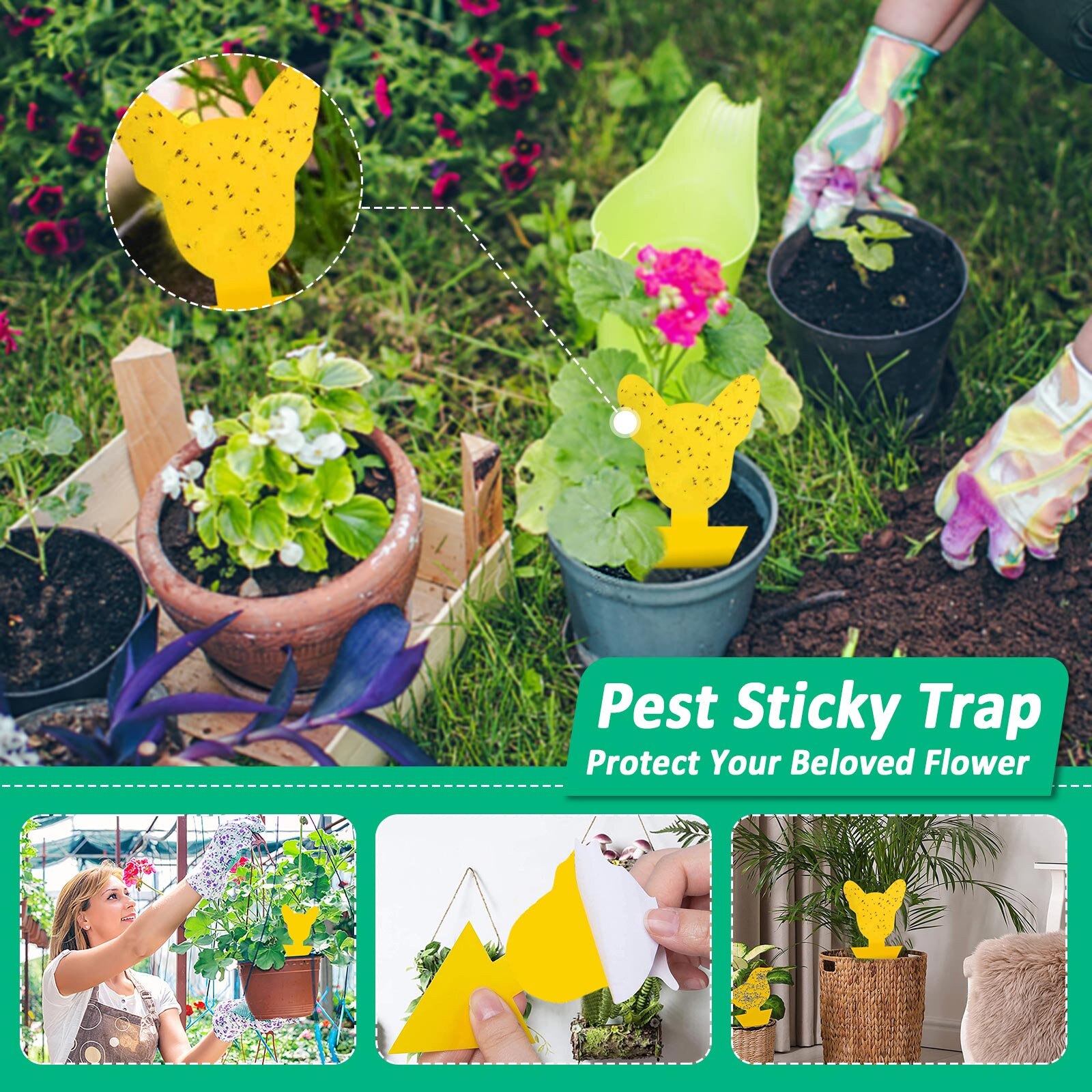 Trapping tools for flying insects in courtyard Dou... – Grandado