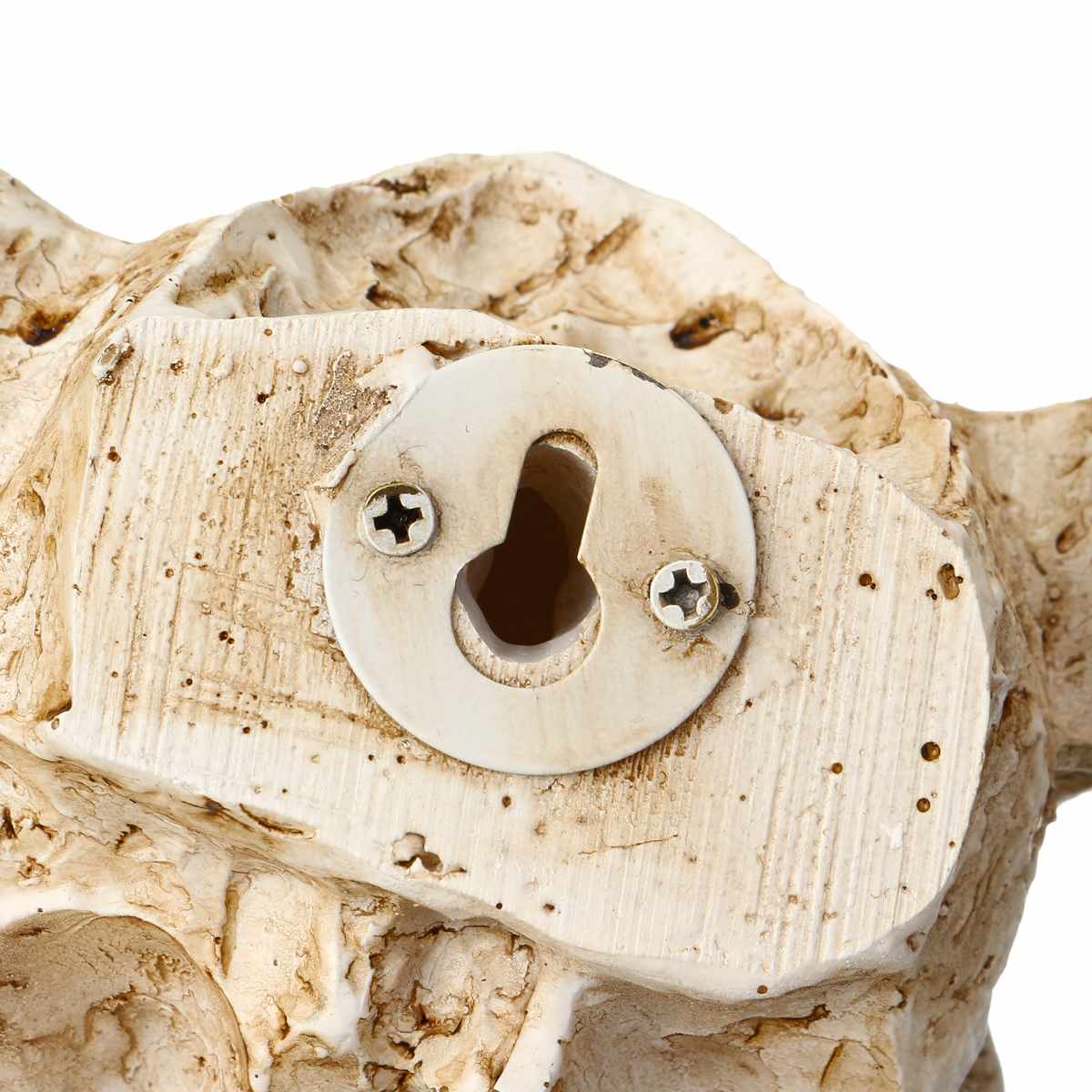 Hars Longhorn Koe Schedel Hoofd Muur Opknoping Dec... – Grandado