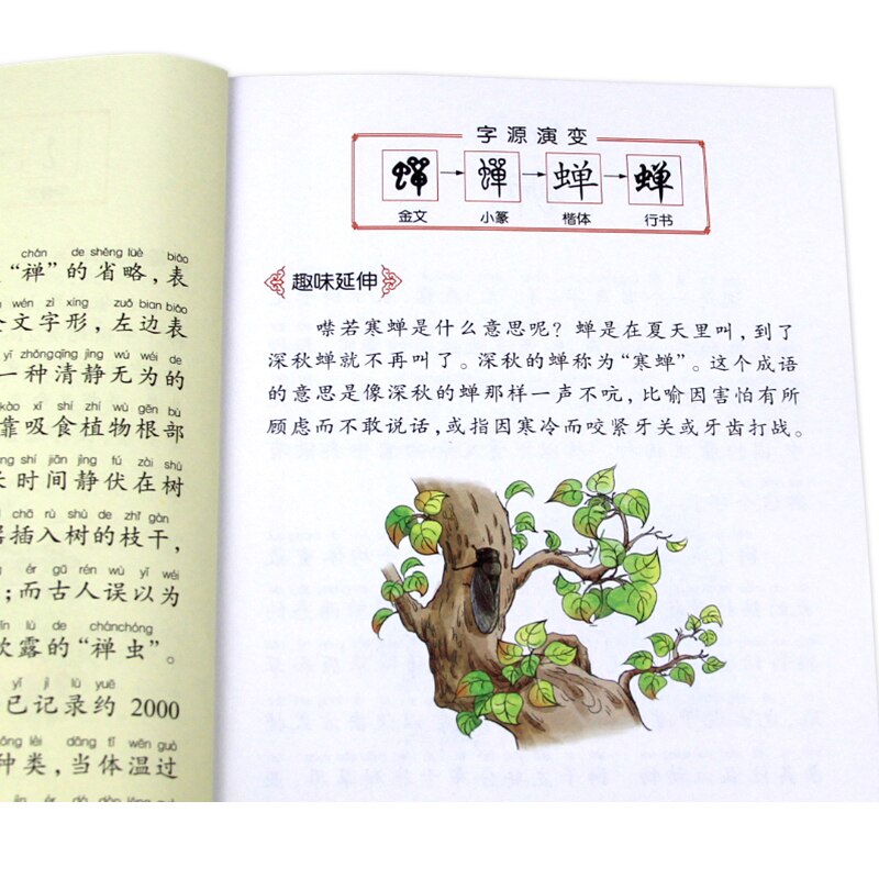 6book/set Chinese Character Story books Learning s... – Grandado