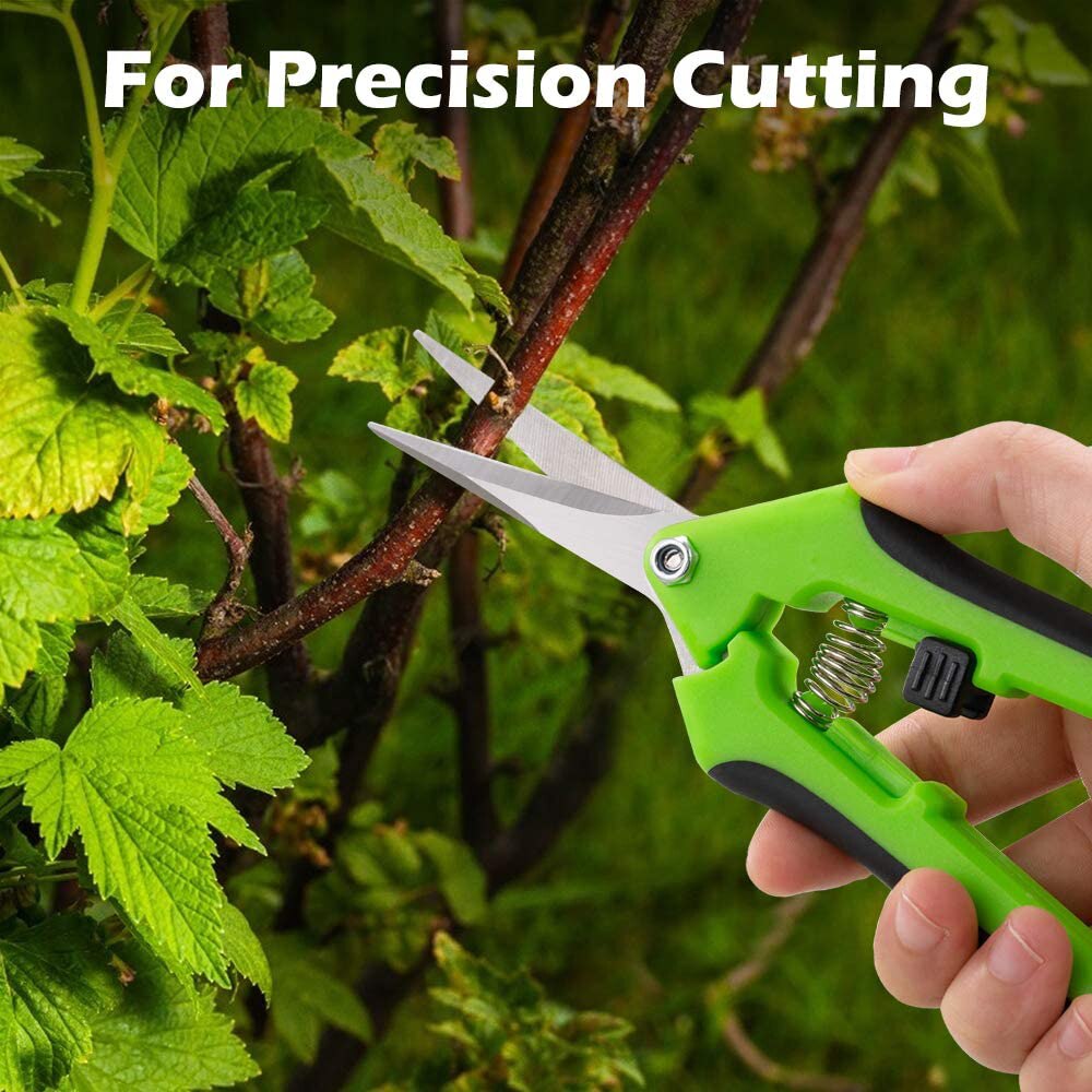 Gardening Hand Pruner Titanium Coated Curved Strai... – Grandado