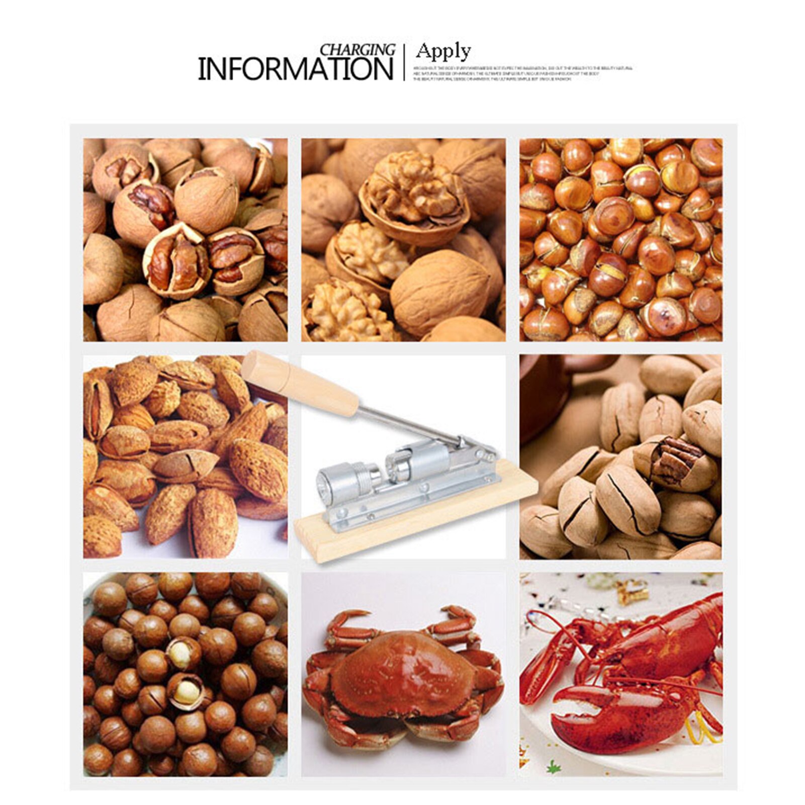 Household Kitchen Pecan Filbert Walnut Nutcracker ... – Grandado