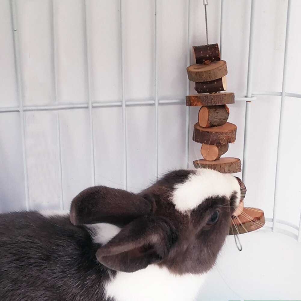 Pet Chew Toy Apple Wooden Material Tooth Grinding ... – Grandado