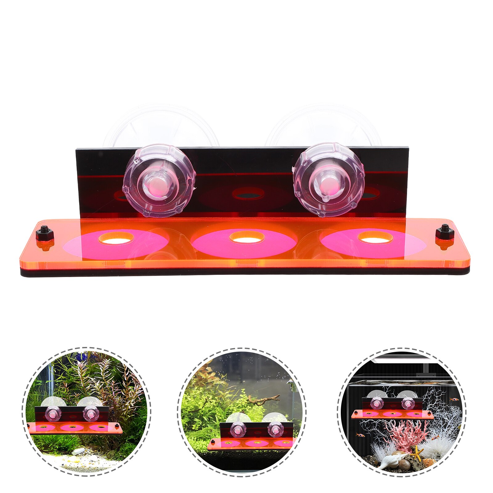 Coral Frag Holder Fish Tank Acrylic Reef Rack Cora... – Vicedeal