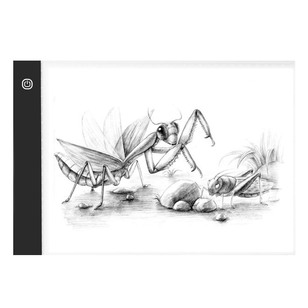 Panel Luminous Digital A4 Copy Board Graphic Sign ... – Vicedeal