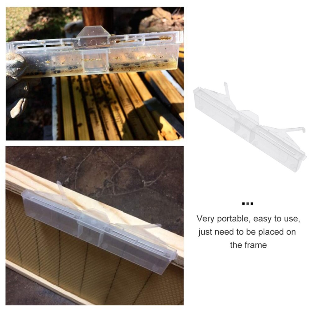 12Pcs Beetle Trap Easy To Use Beetle Catcher Beeke... – Grandado