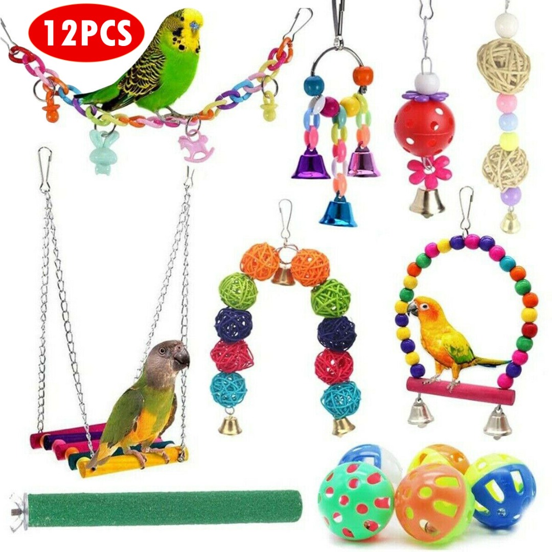 12 Stks/set Vogel Papegaai Swing Kauwen Opknoping ... – Vicedeal