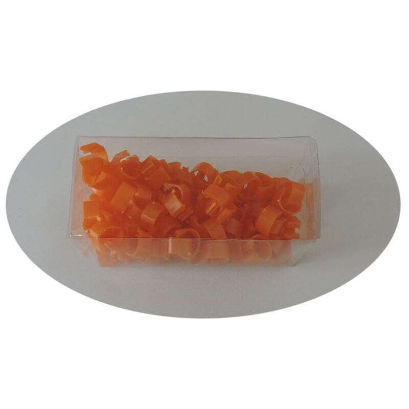 100 Pcs Multi-color Bird Foot Ring Species Identif... – Grandado