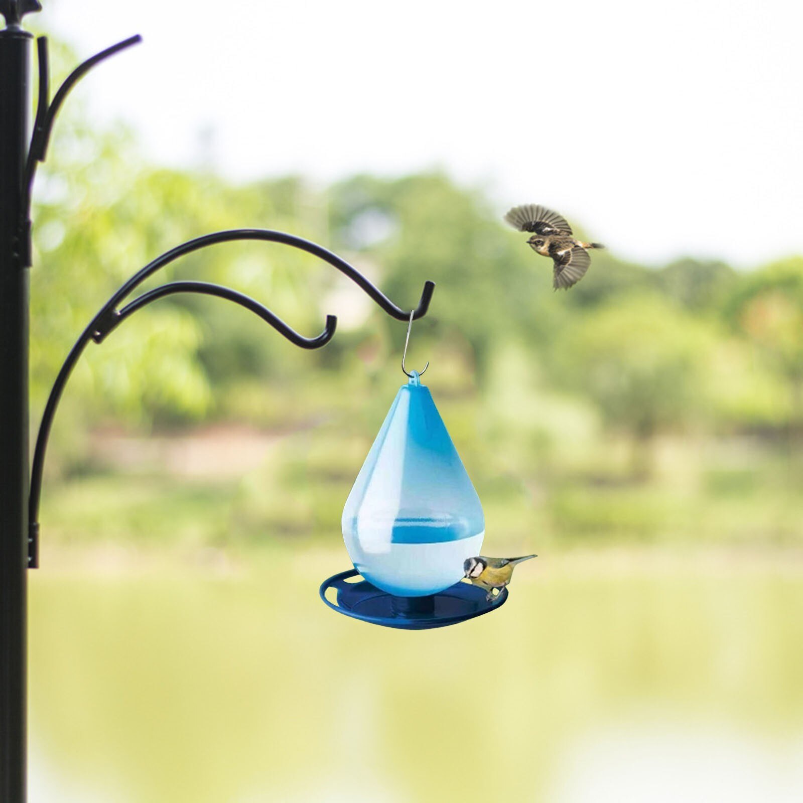 1PC Bird Feeder Hanging Hummingbird Water Feeding ... – Grandado