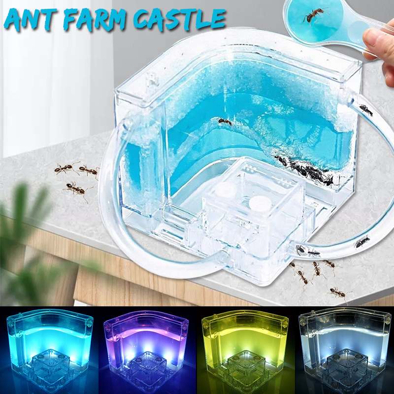 Ant Farm Ant House Castle USB Colorful Insect Feed... – Vicedeal