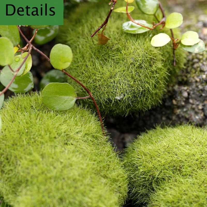 10PCS 3 Size Green Artificial Moss Rocks Garden De... – Vicedeal
