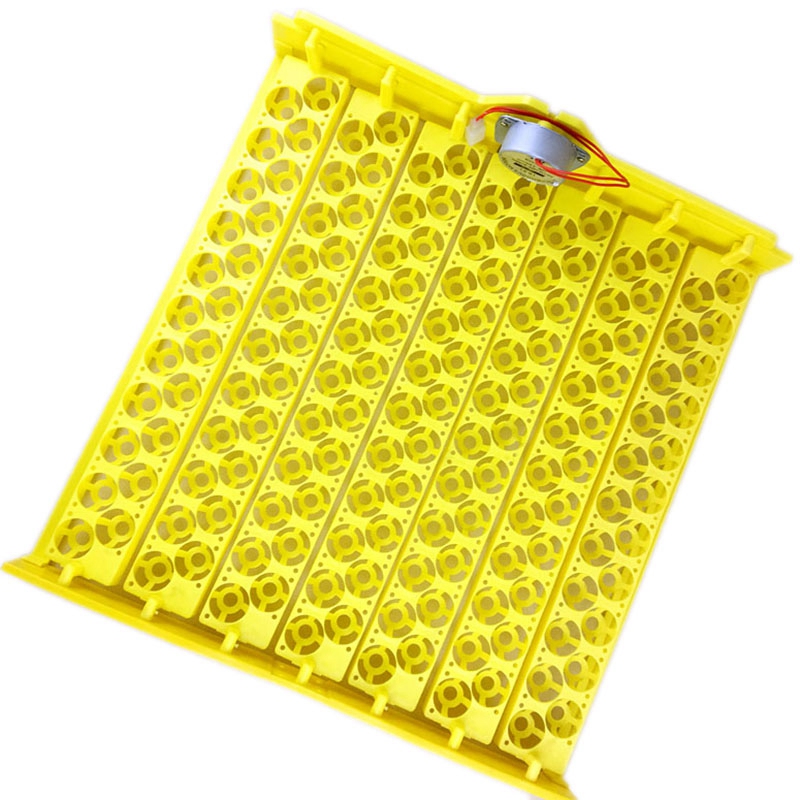 154 Eggs Quail Parrot Pigeon Small Bird Snake Hatc... – Grandado