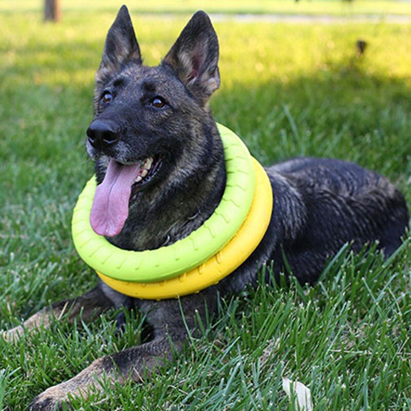 Pet Flying Discs EVA Pet Ring Pull-resistant Bite ... – Grandado