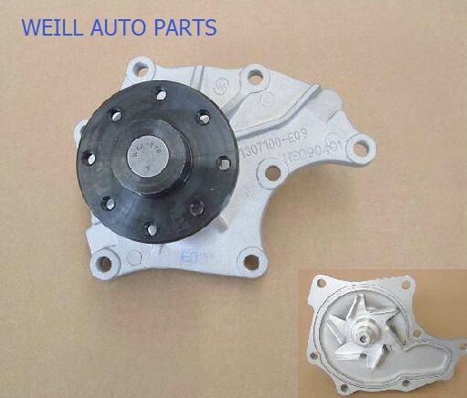 WEILL 1307100-E09 Water pump for great wall 2.5TC ... – Vicedeal