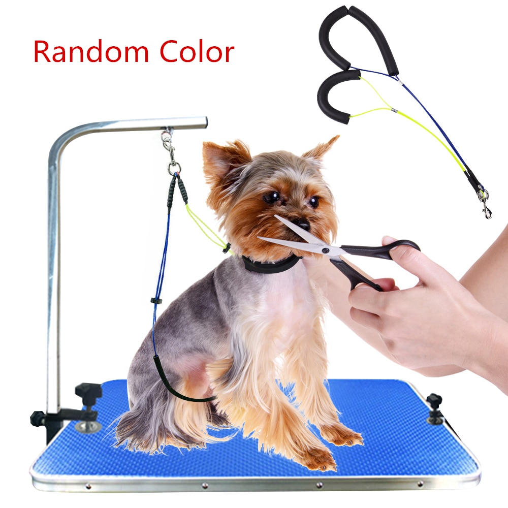 Pet Haunch Holder Dog Cat Grooming Rope Restraint ... – Grandado