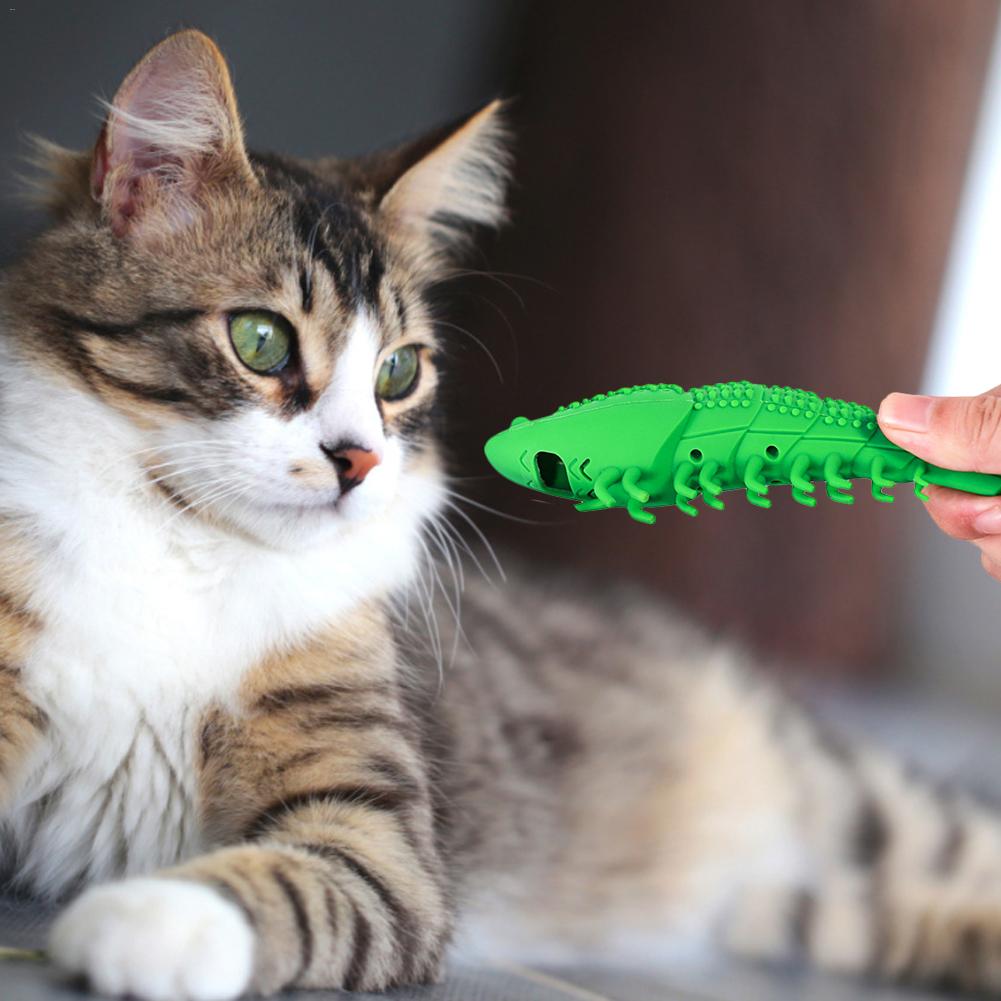 Kat Vis Vorm Mint Tandenborstel Met Kattenkruid Hu... – Grandado