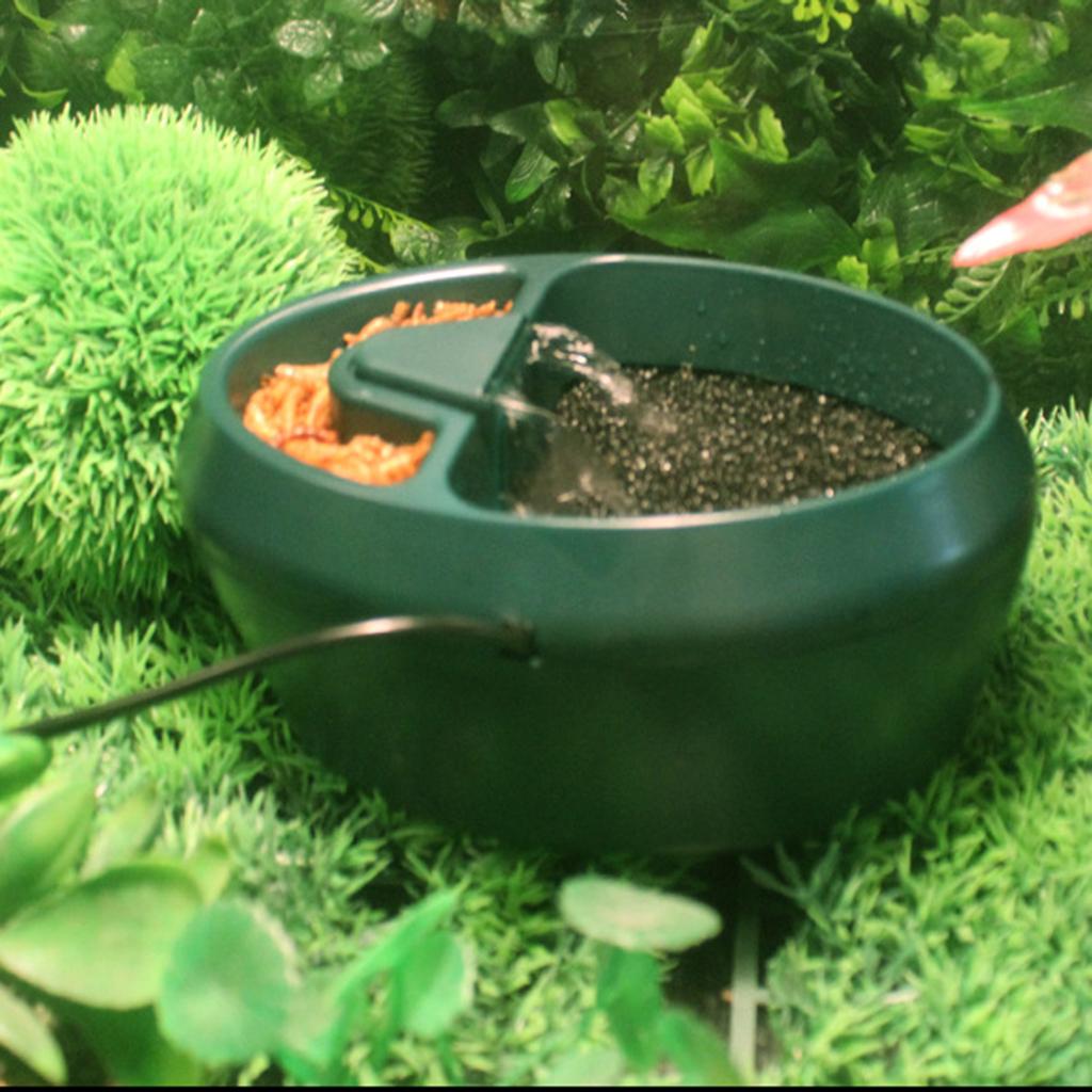 700ml Reptile Water Drinking Fountain Automatic Wa... – Grandado