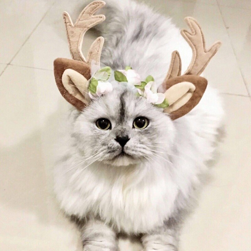 Micatale Xmas Hoed Hond Kat Kerst Hoofddeksels Ker... – Grandado