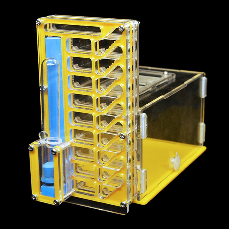 DIY Acrylic Ant Farm with Feeding Area Multi-layer... – Vicedeal