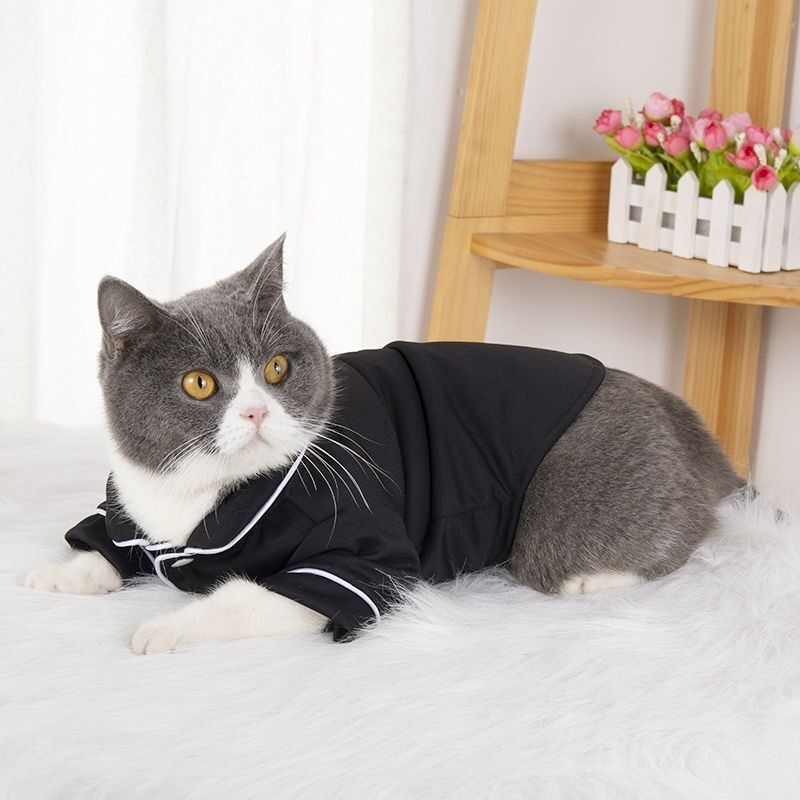 Summer Pet Clothes Pet Pajamas Cat Clothes for Sma... – Grandado